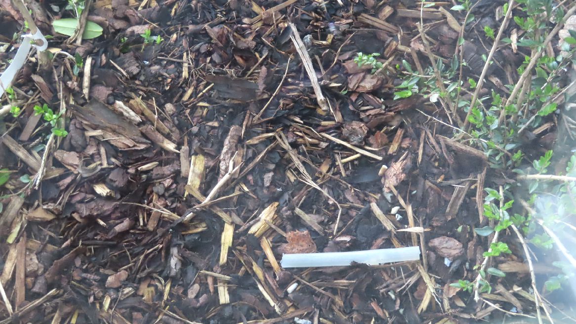 Inchcock Today Fri 14 Feb 2020: A finical, pernickety, delusory, yet ...